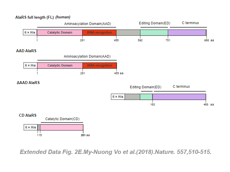 IBS 2.0: Illustrator for Biological Sequences